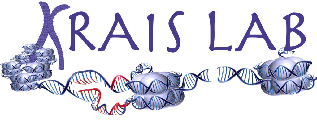 Krais Lab